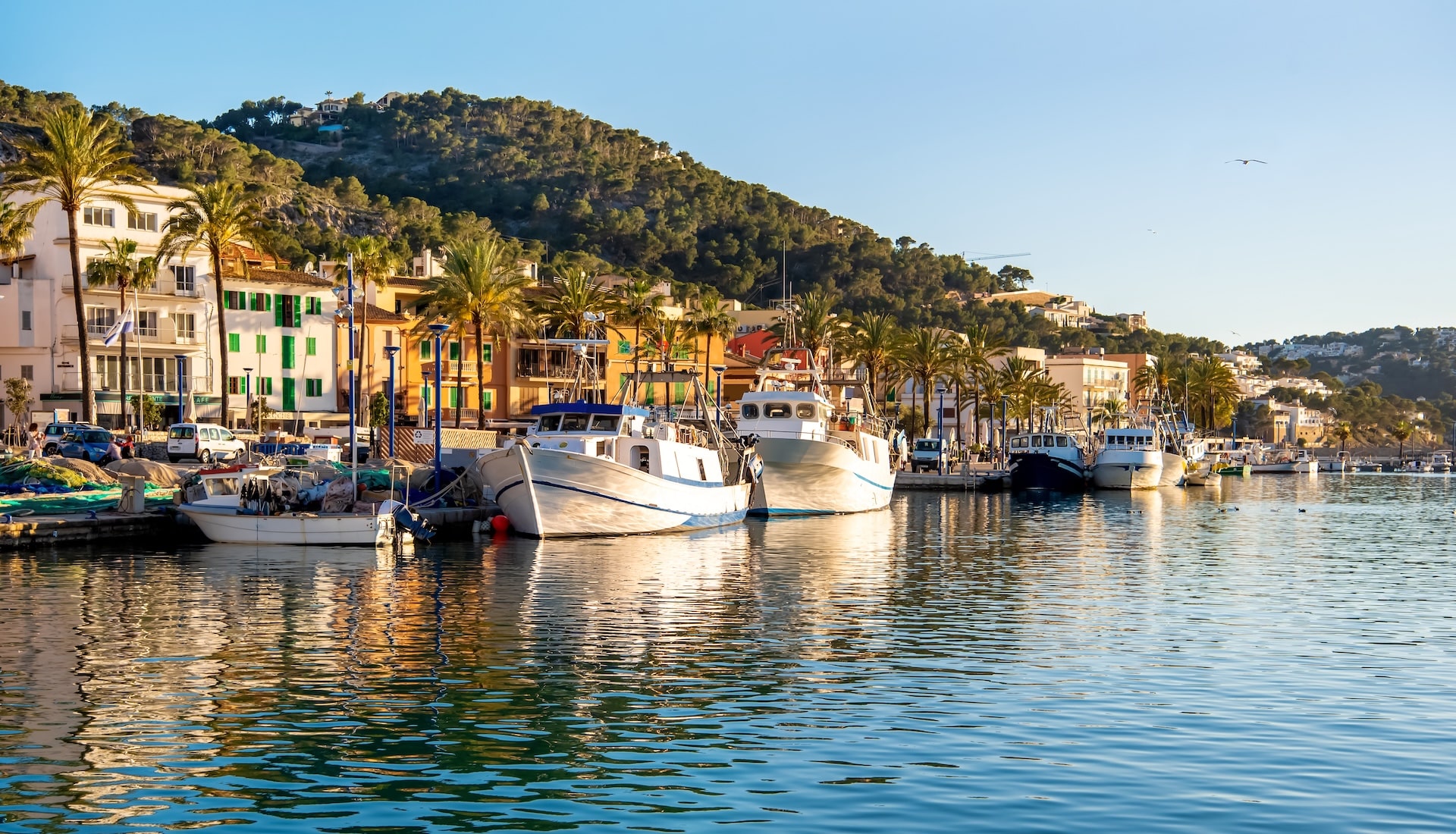 Vivir en Port D'Andratx | Guía Inmobiliaria y de Estilo de Vida
