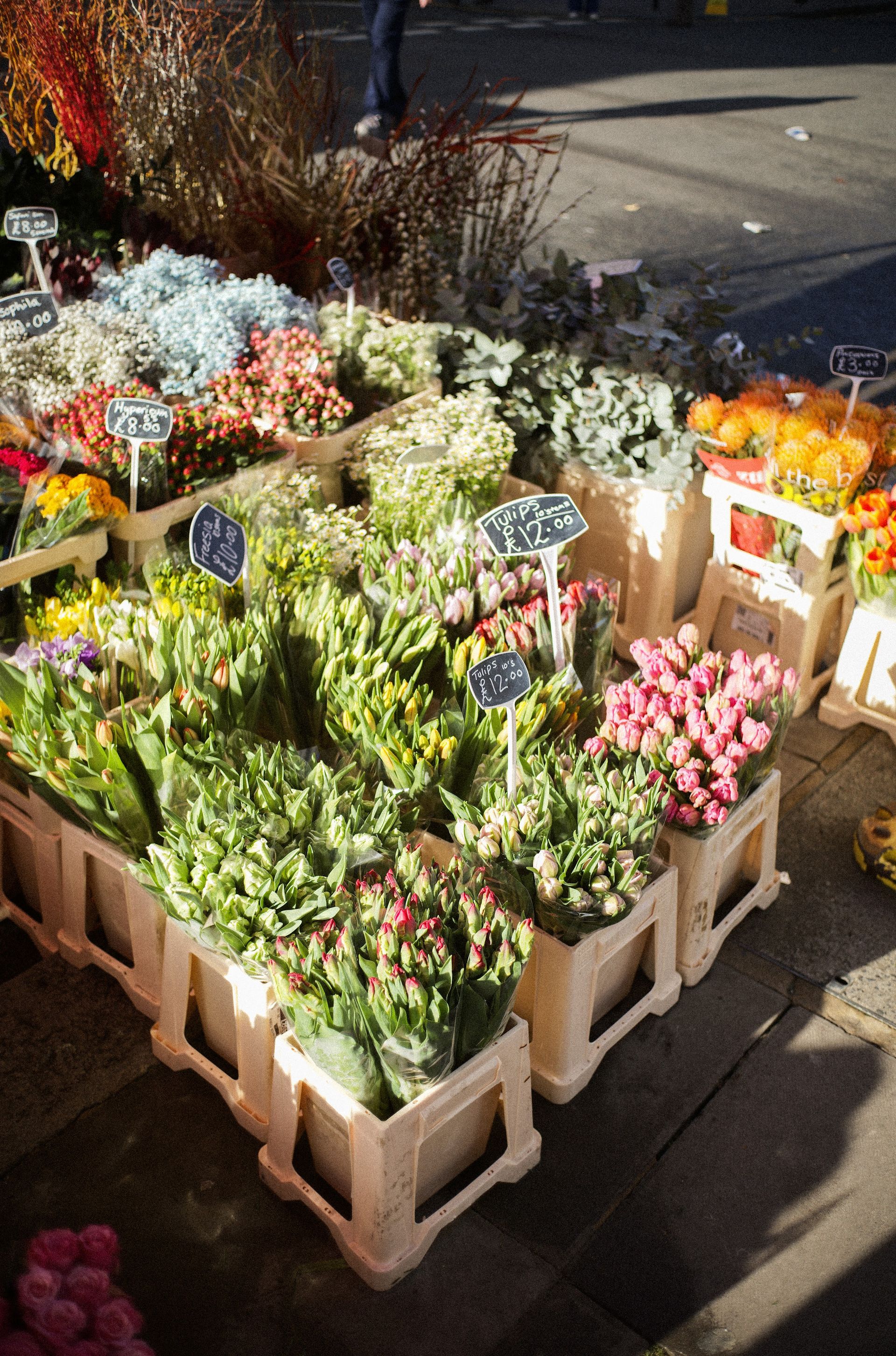 Jessica Yolanda Kaye’s Insider Guide To London's Notting Hill