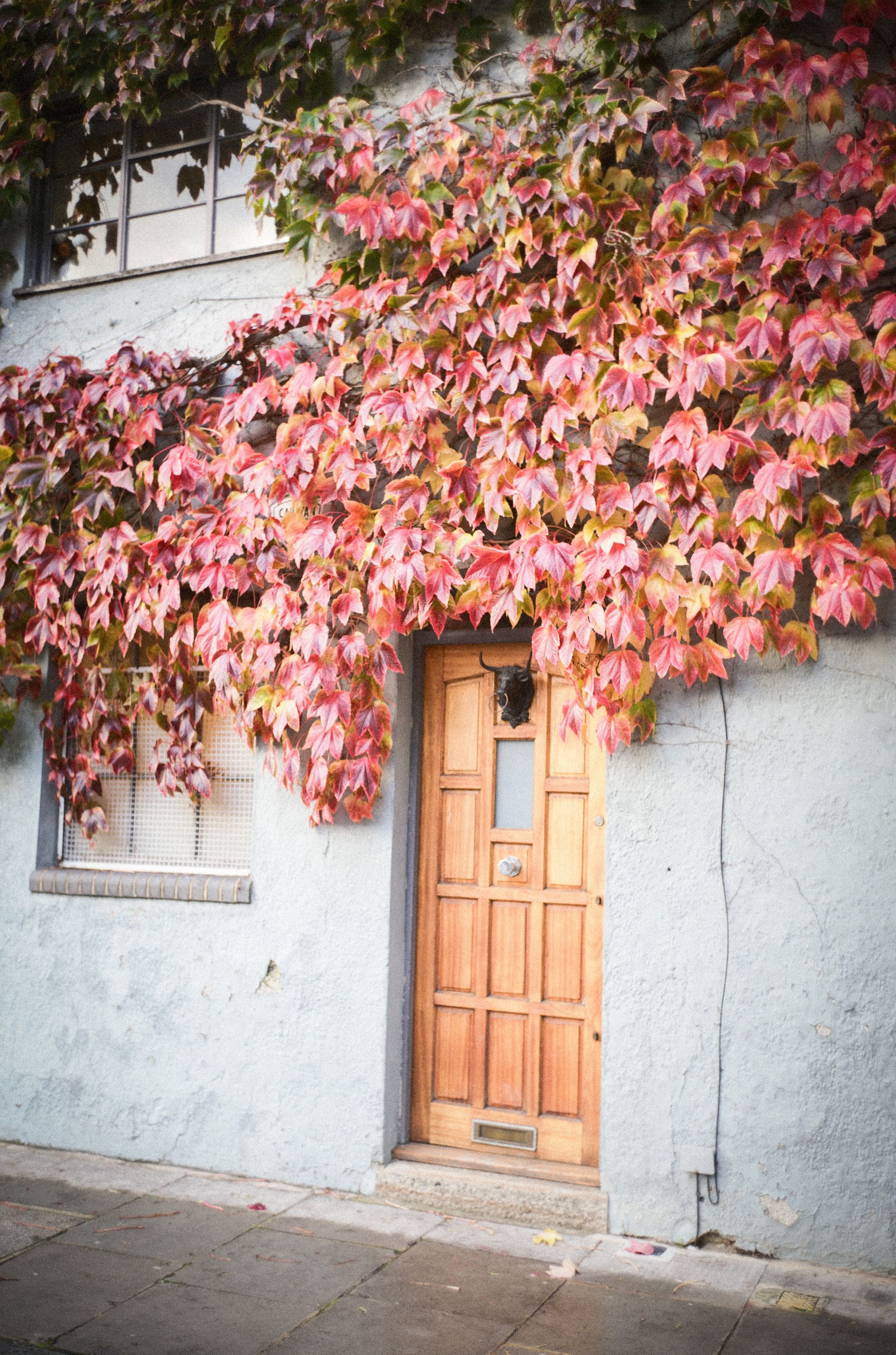 Jessica Yolanda Kaye’s Insider Guide To London's Notting Hill